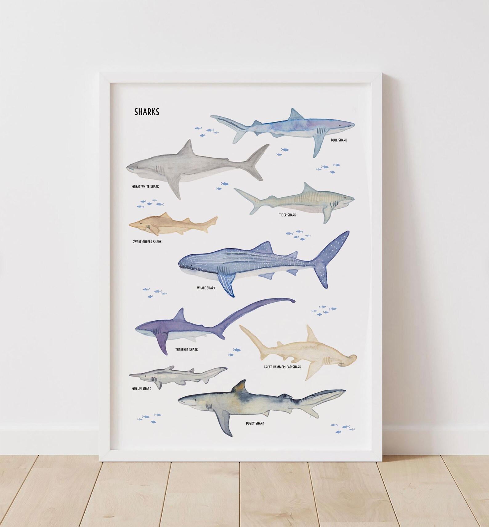 Shark Nursery Print, Sharks Wall Art, Educational Printable, Shark ...