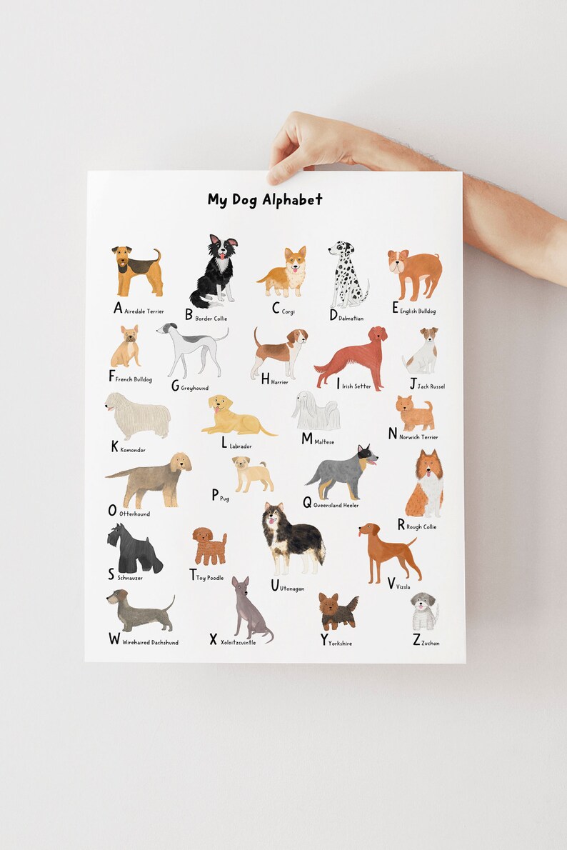 Dog Alphabet Poster, Dog Breeds Alphabet Print, Animal Abc Printable ...
