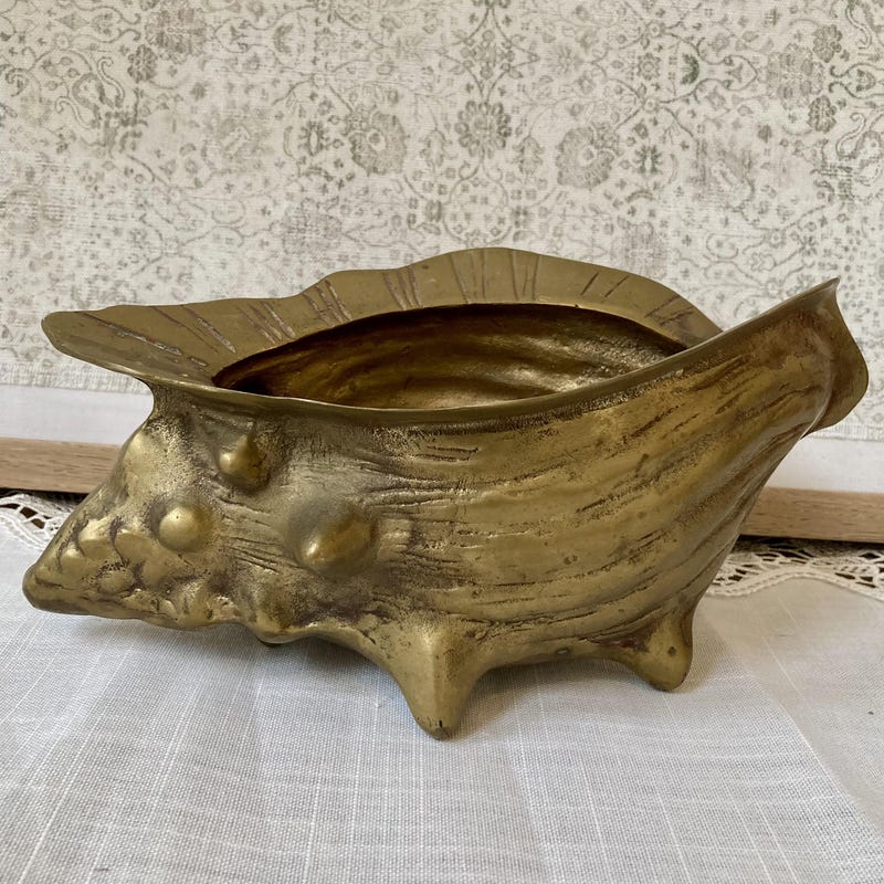 Conch Shell Planter - Etsy