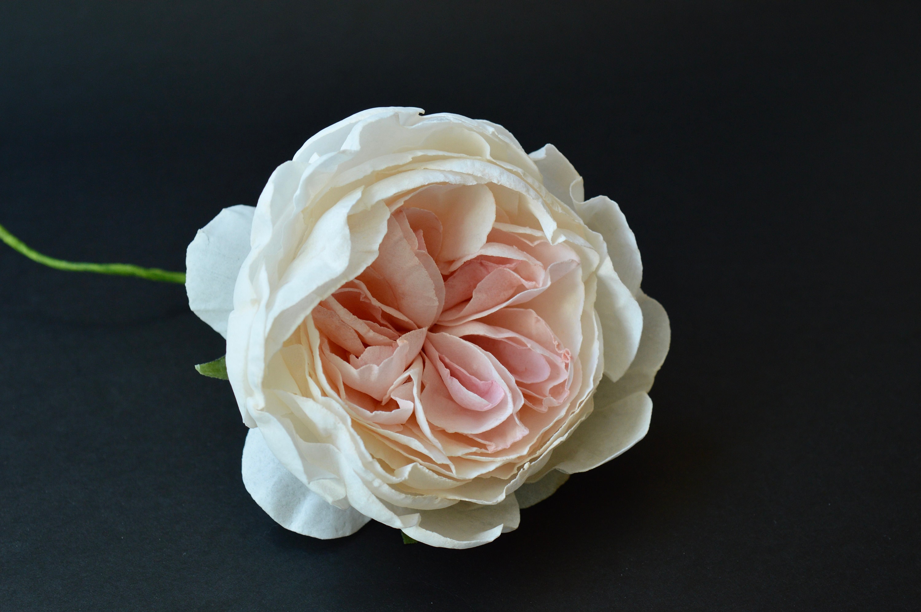 Wafer Paper David Austin Rose for Cake Decoration (1 Pc) - Etsy