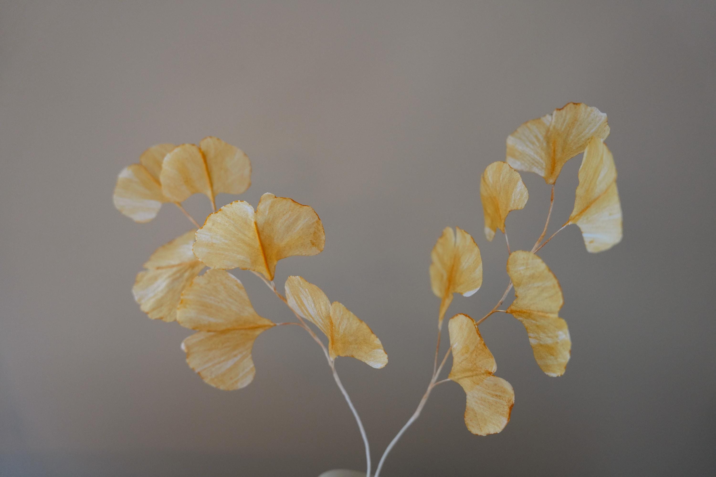 Wafer Paper Ginkgo Leaves for Cake Decoration, Wedding Cake Topper ...