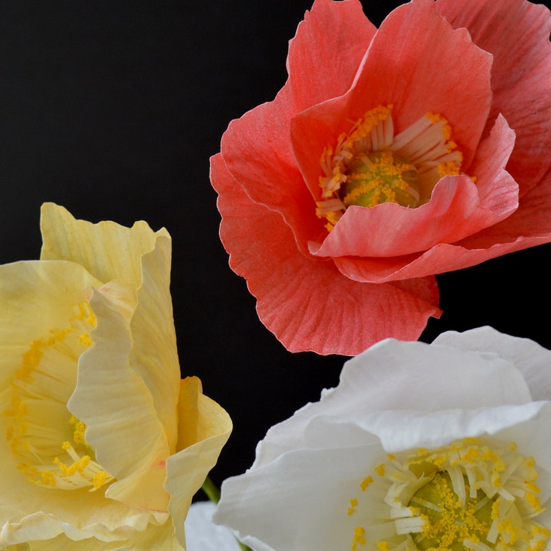 Paper Poppies - Etsy