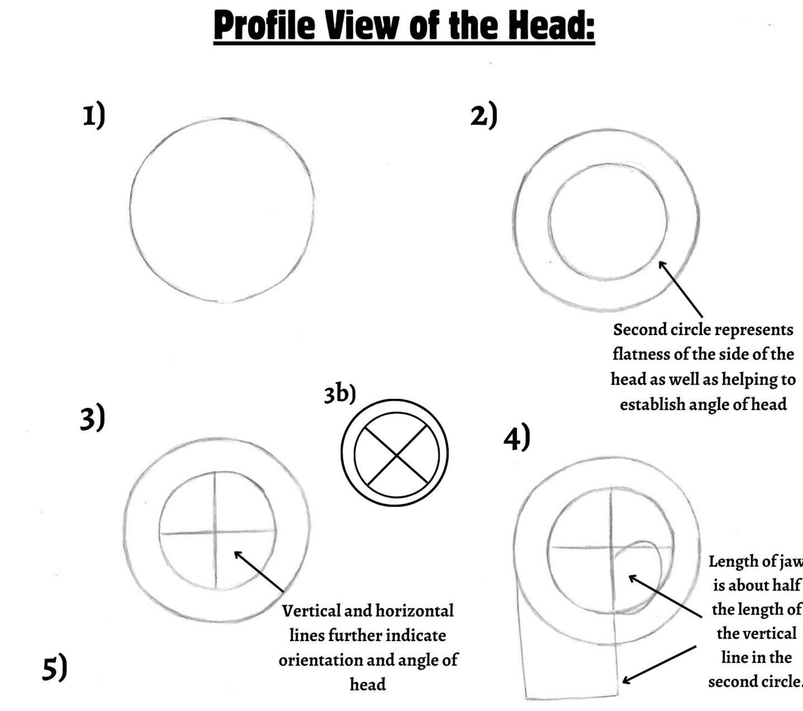 How to Draw the Head: Drawing From Any Perspective! - Etsy