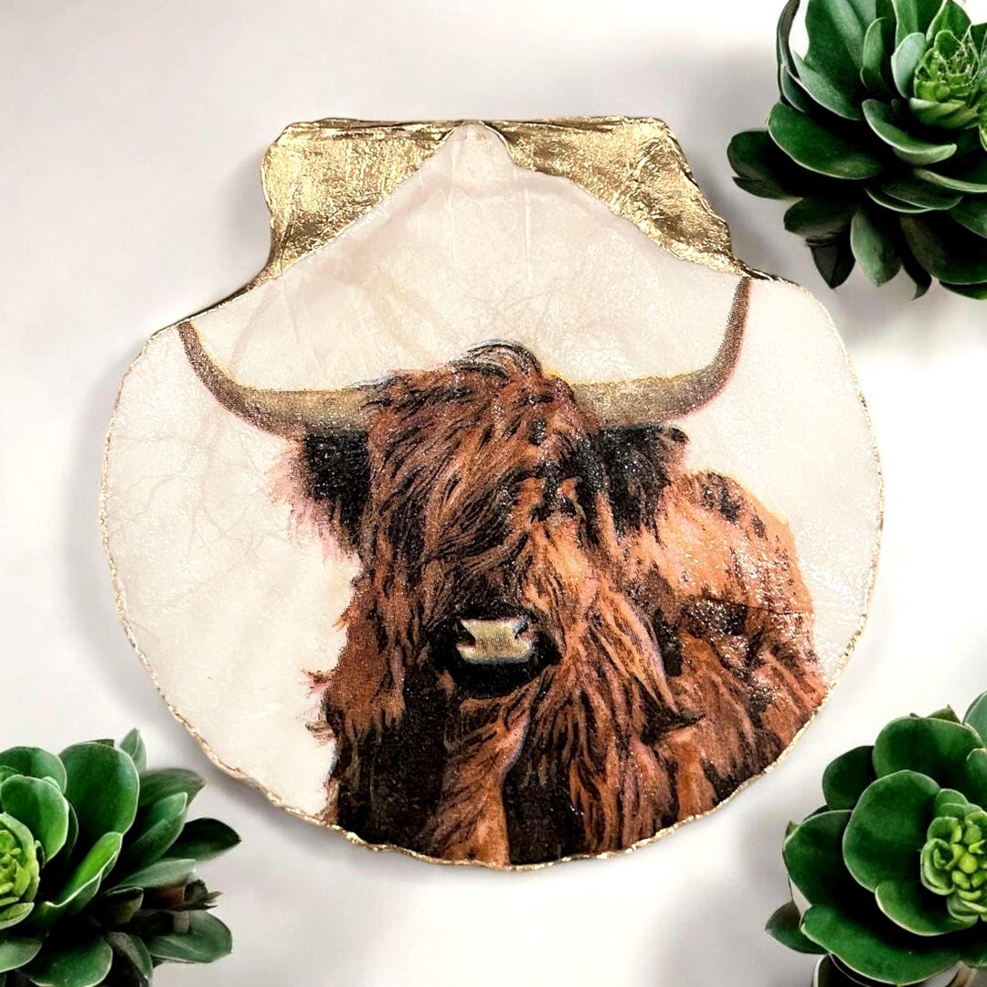 Highland Cow Shell, Shell Ring Dish, Shell Trinket Dish, Shell Jewelry ...