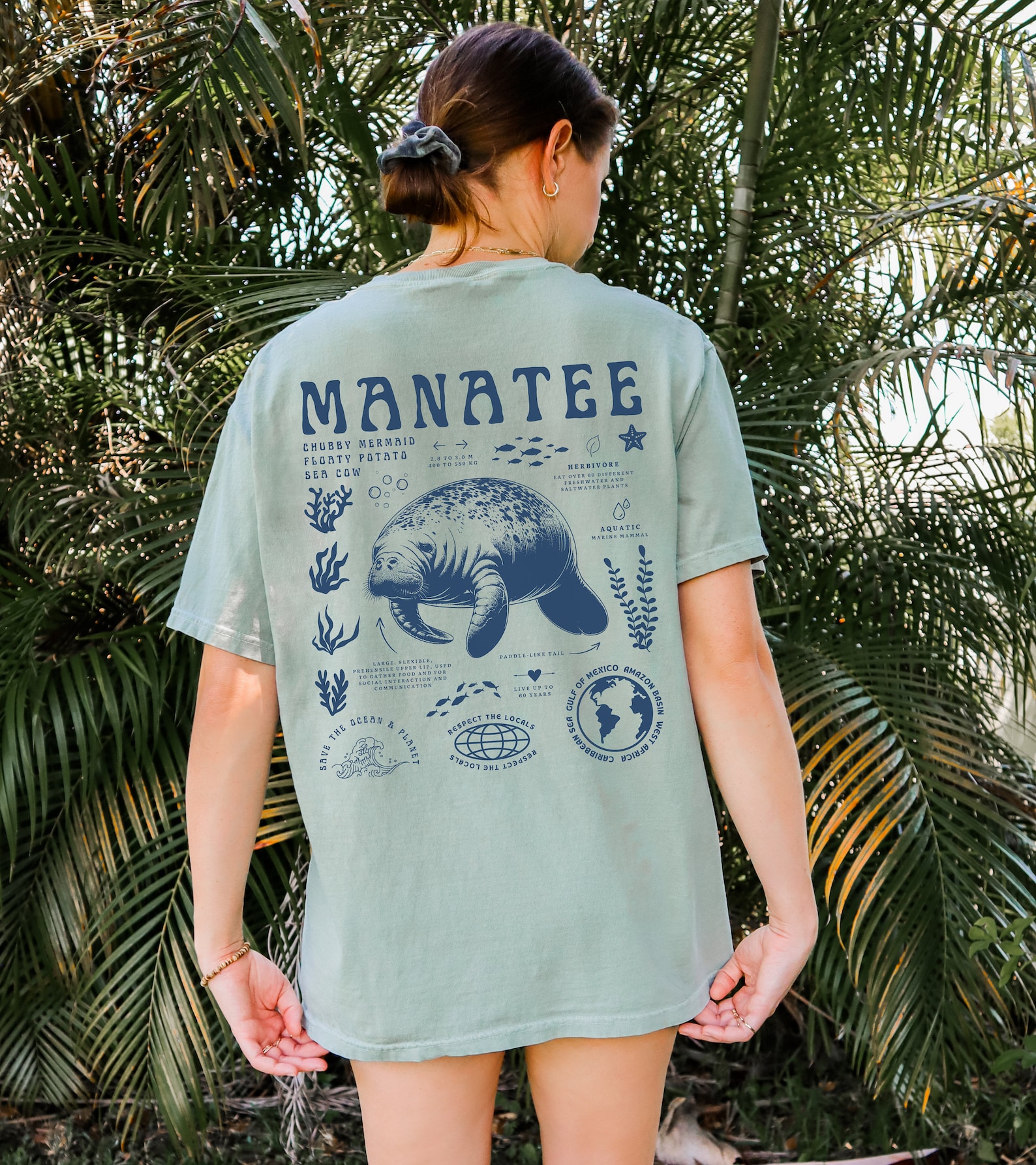 Shirt Manatee Gift Manatee Shirt Florida Beach Tee Manatee Anatomy ...