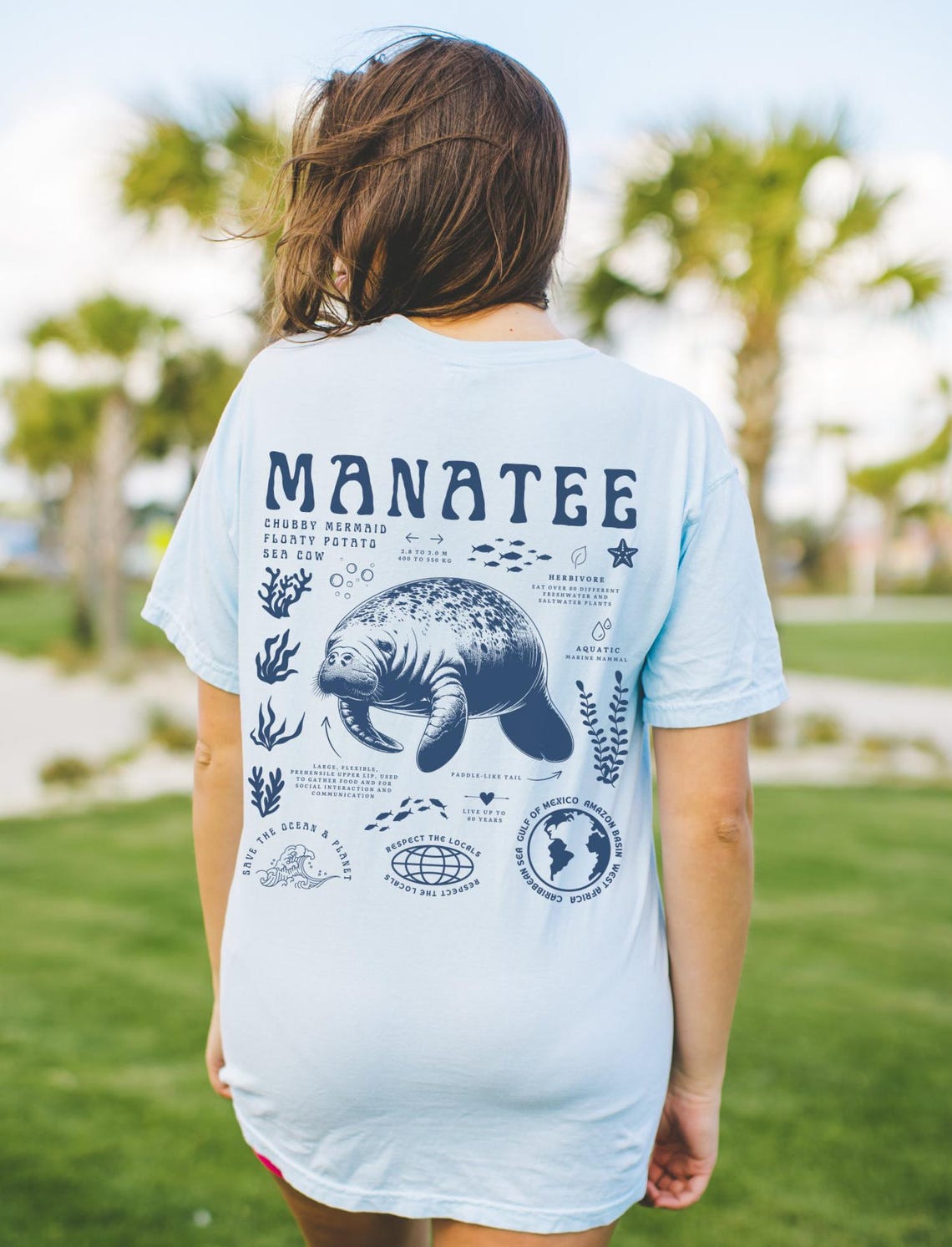 Shirt Manatee Gift Manatee Shirt Florida Beach Tee Manatee Anatomy ...