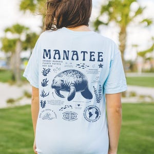 Shirt Manatee Gift Manatee Shirt Florida Beach Tee Manatee Anatomy ...