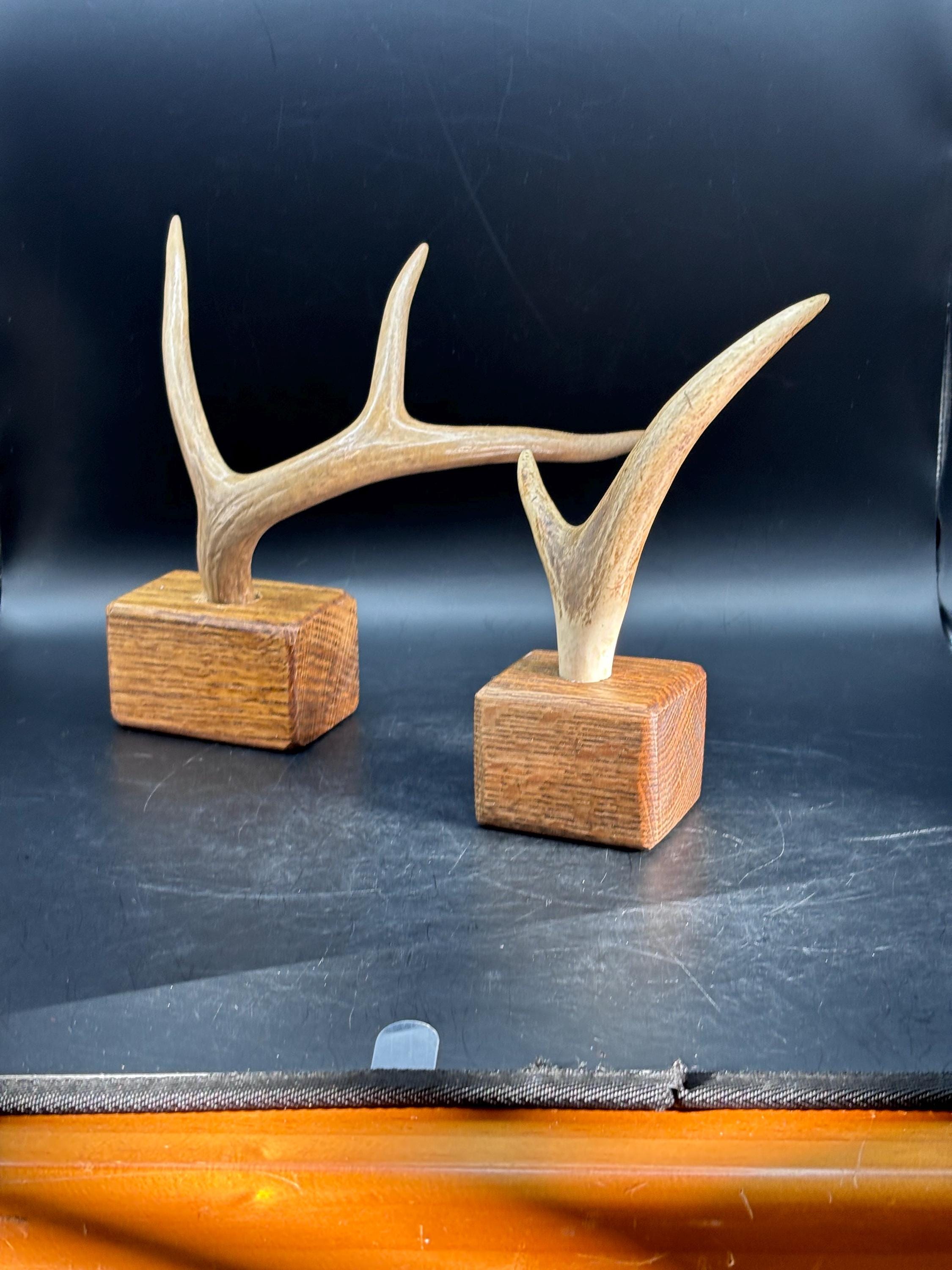 Small Whitetail Deer Antler Jewelry Holder - Etsy