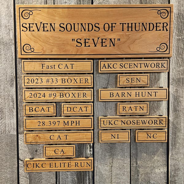 Custom Dog Sport Toy - Etsy