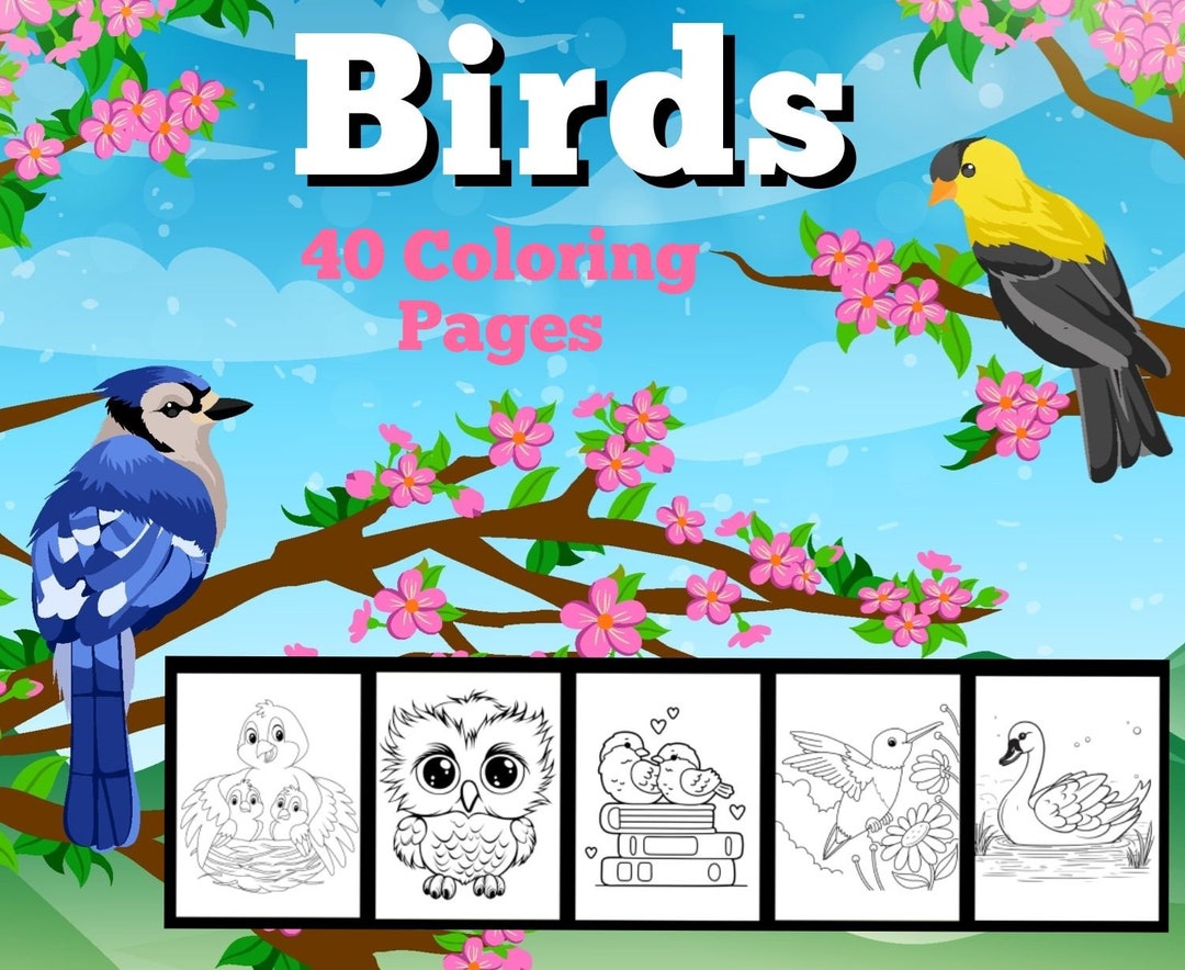 Bird Coloring Pages, 40 Coloring Pages, Printable Pdf File, Digital - Etsy