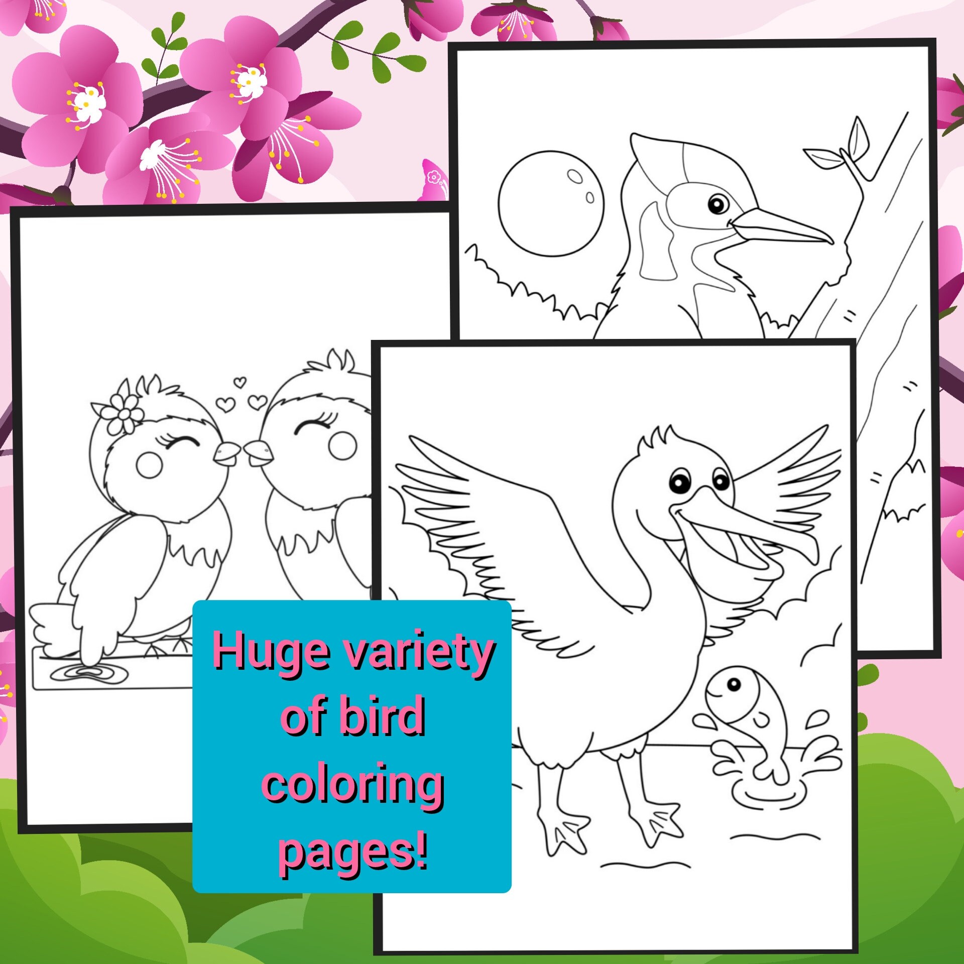 Bird Coloring Pages, 40 Coloring Pages, Printable Pdf File, Digital - Etsy