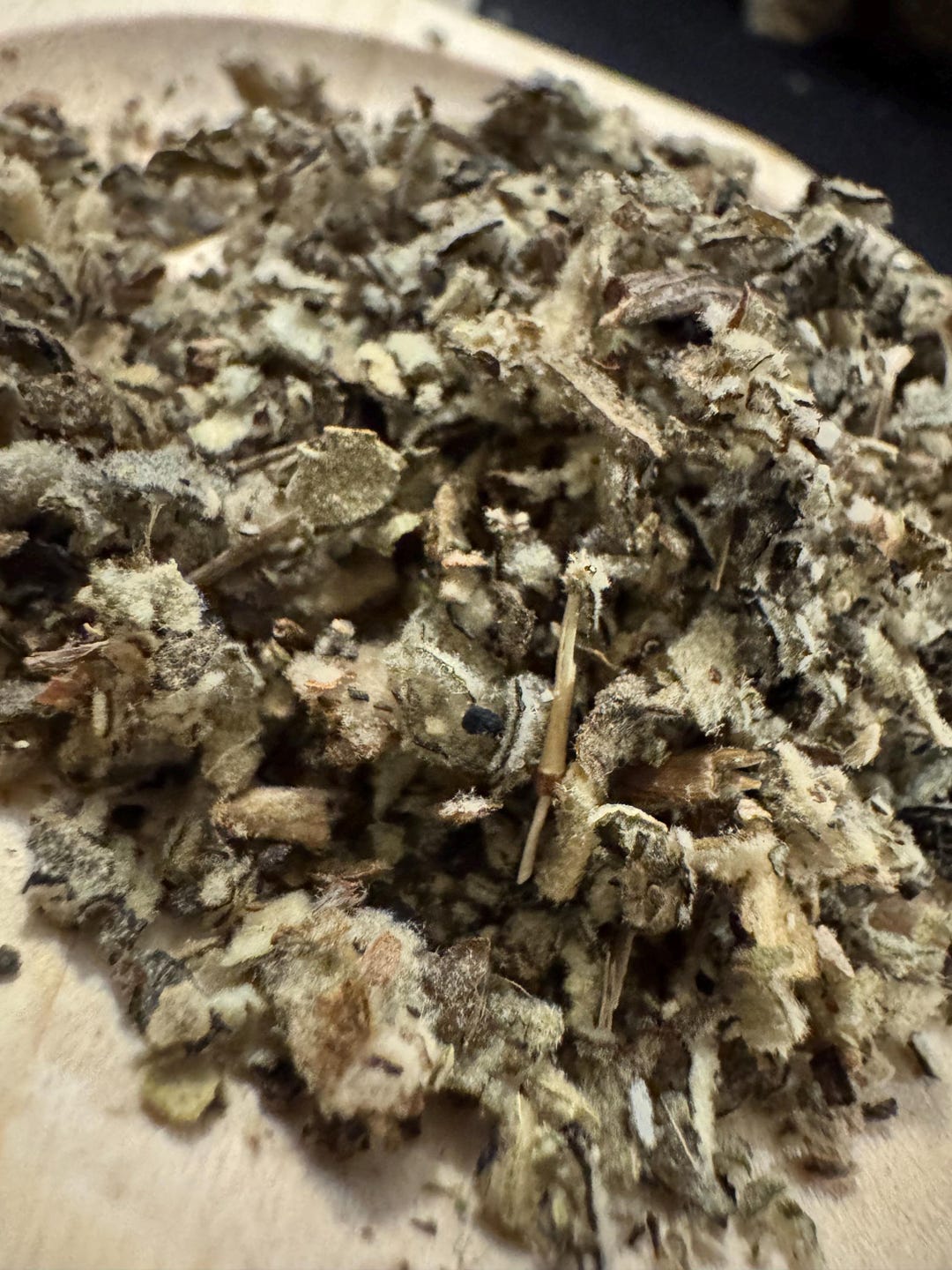 Mullein Herb: Protection, Strength, and Spirit Work - Hoodoo Rootwork ...