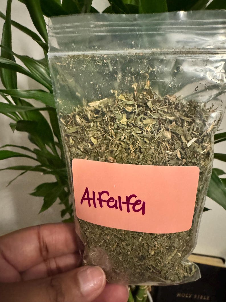 Alfalfa Herb – Spiritual Prosperity, Wealth Draws, and Abundance Work ...