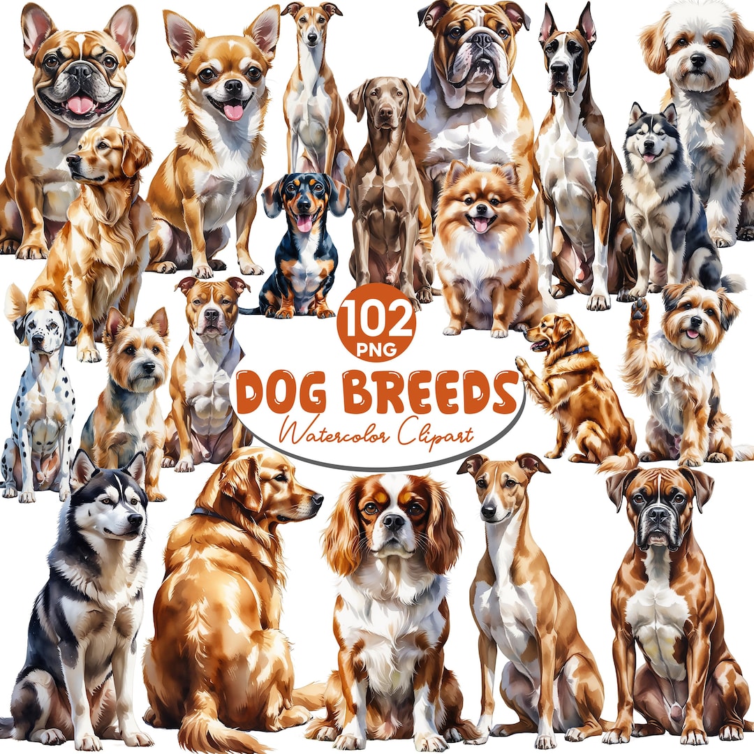 Watercolor Dog Clipart Bundle: 102 Breeds, Commercial Use (300 DPI Pngs ...