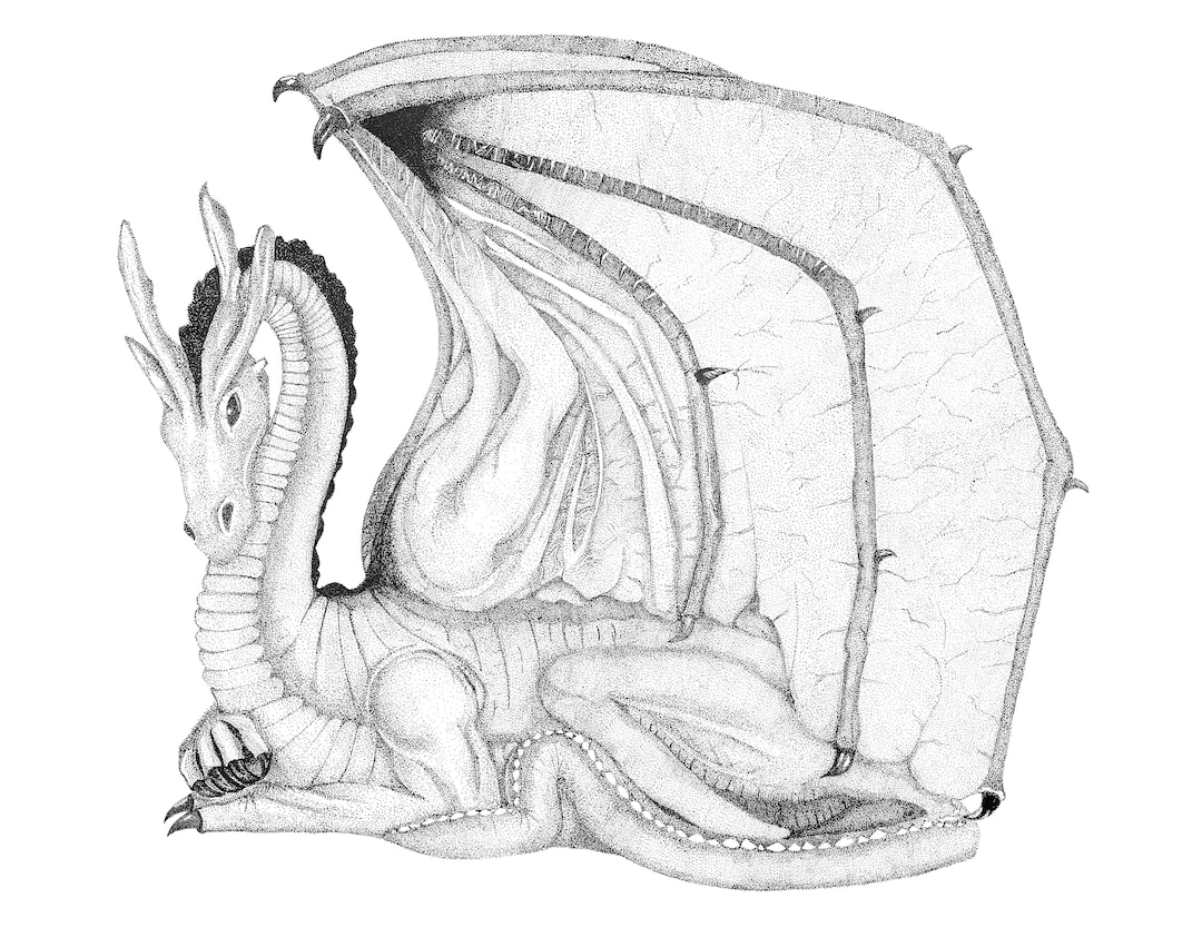 Dragon Stippled Art Print - Etsy