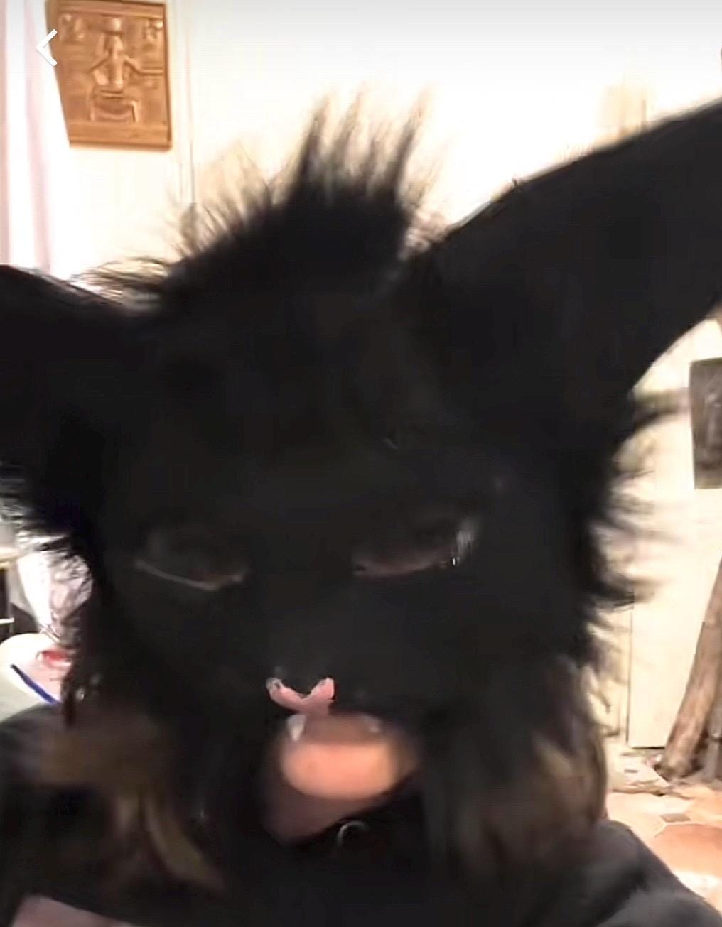 Custom Animal Masks, Comfortable Padded Design - Etsy