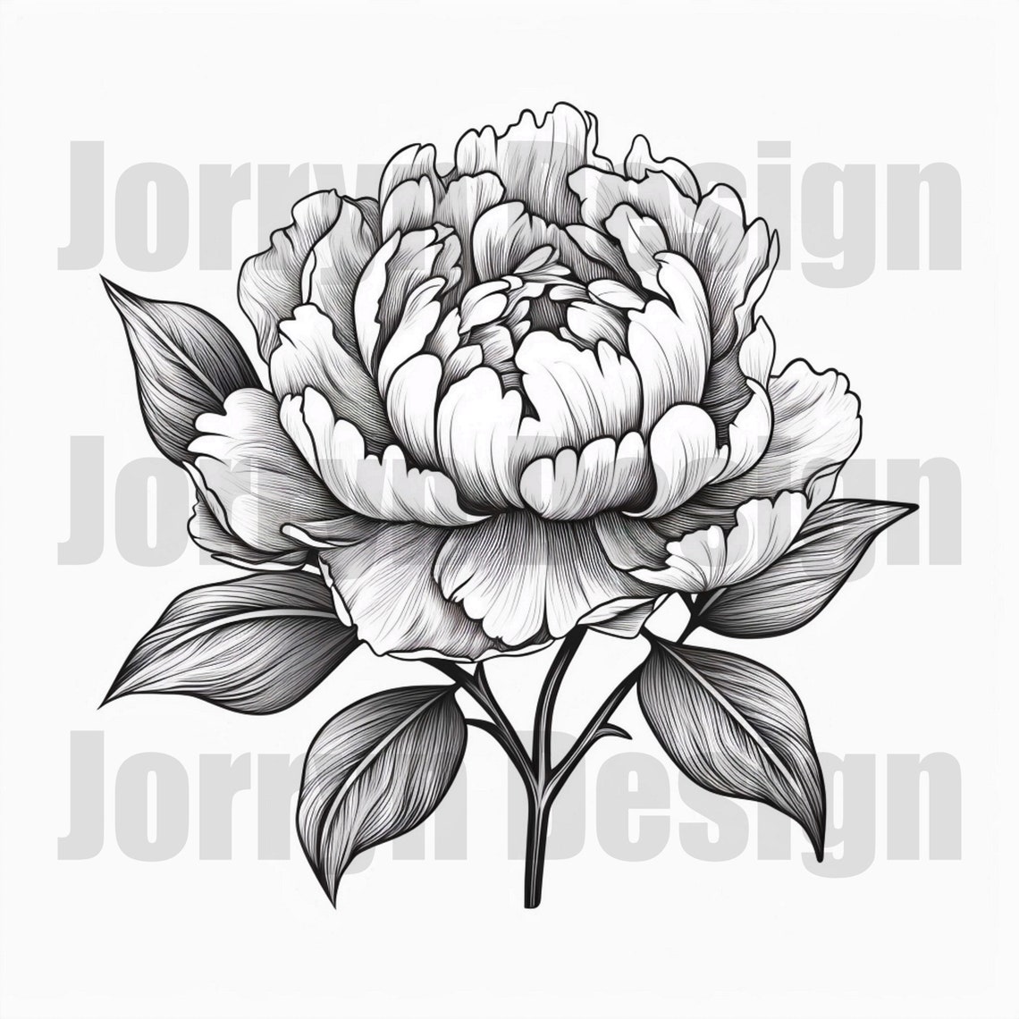 50+ Pfingstrose Clipart | Druckbare Grafik | Hochwertige jpg / jpeg und ...