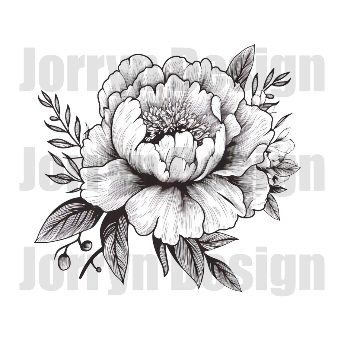 50+ Pfingstrose Clipart | Druckbare Grafik | Hochwertige jpg / jpeg und ...