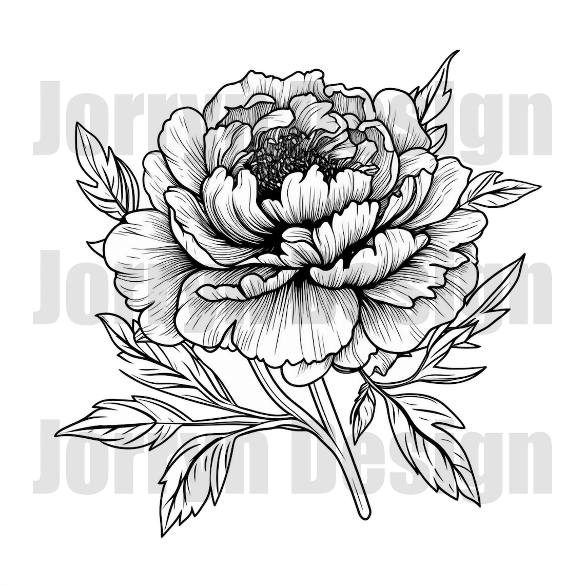 50+ Pfingstrose Clipart | Druckbare Grafik | Hochwertige jpg / jpeg und ...