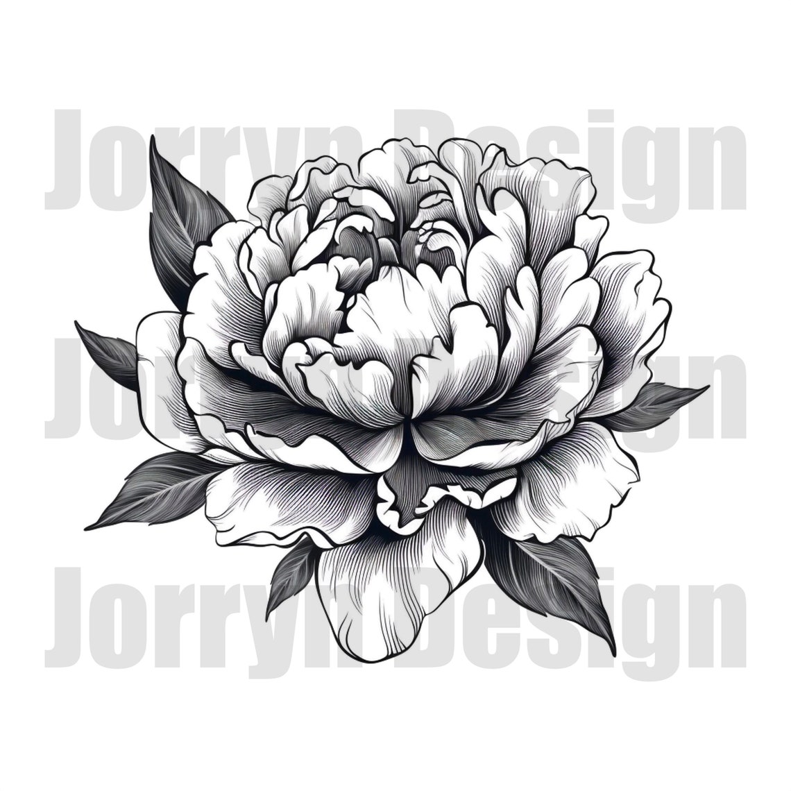 50+ Pfingstrose Clipart | Druckbare Grafik | Hochwertige jpg / jpeg und ...