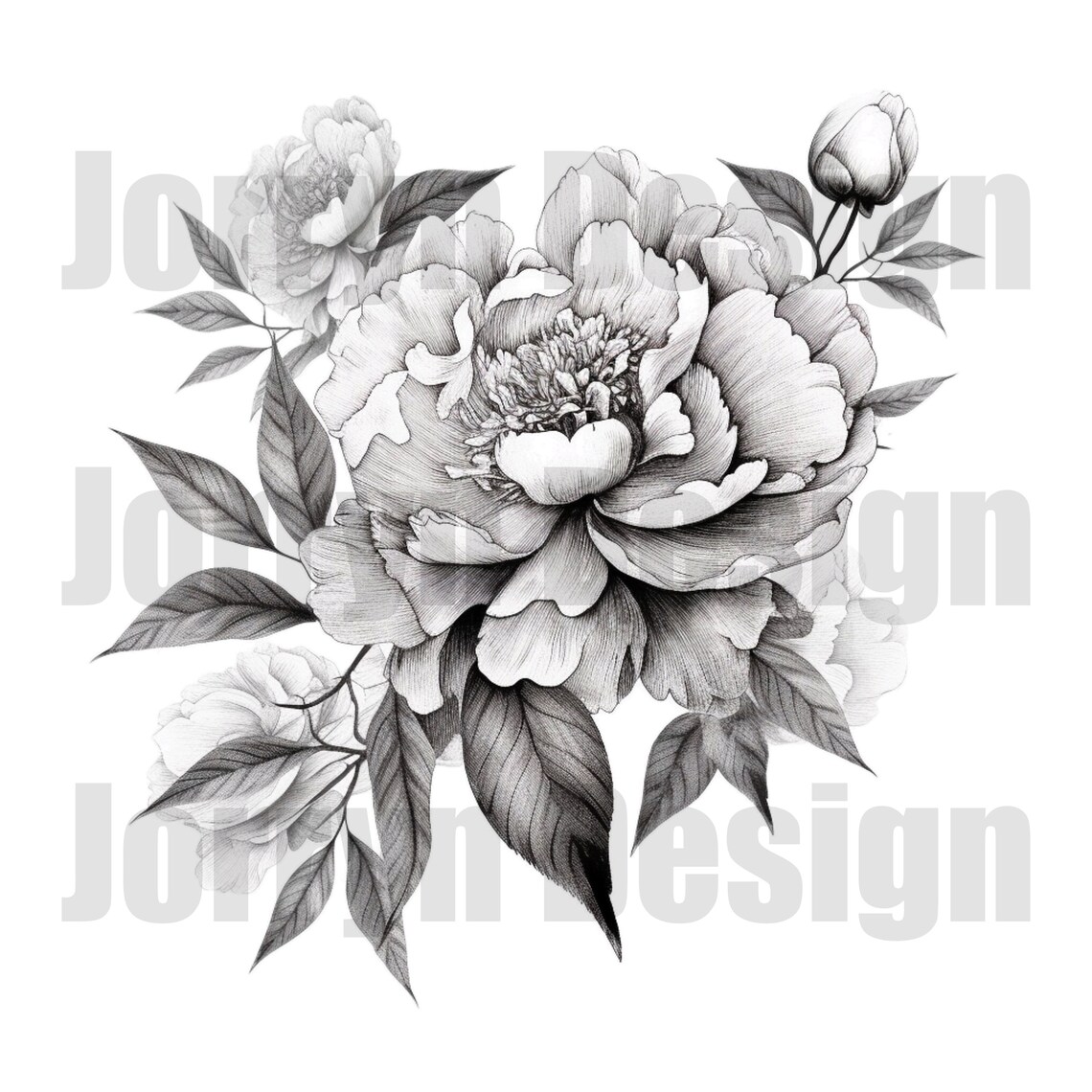 50+ Pfingstrose Clipart | Druckbare Grafik | Hochwertige jpg / jpeg und ...