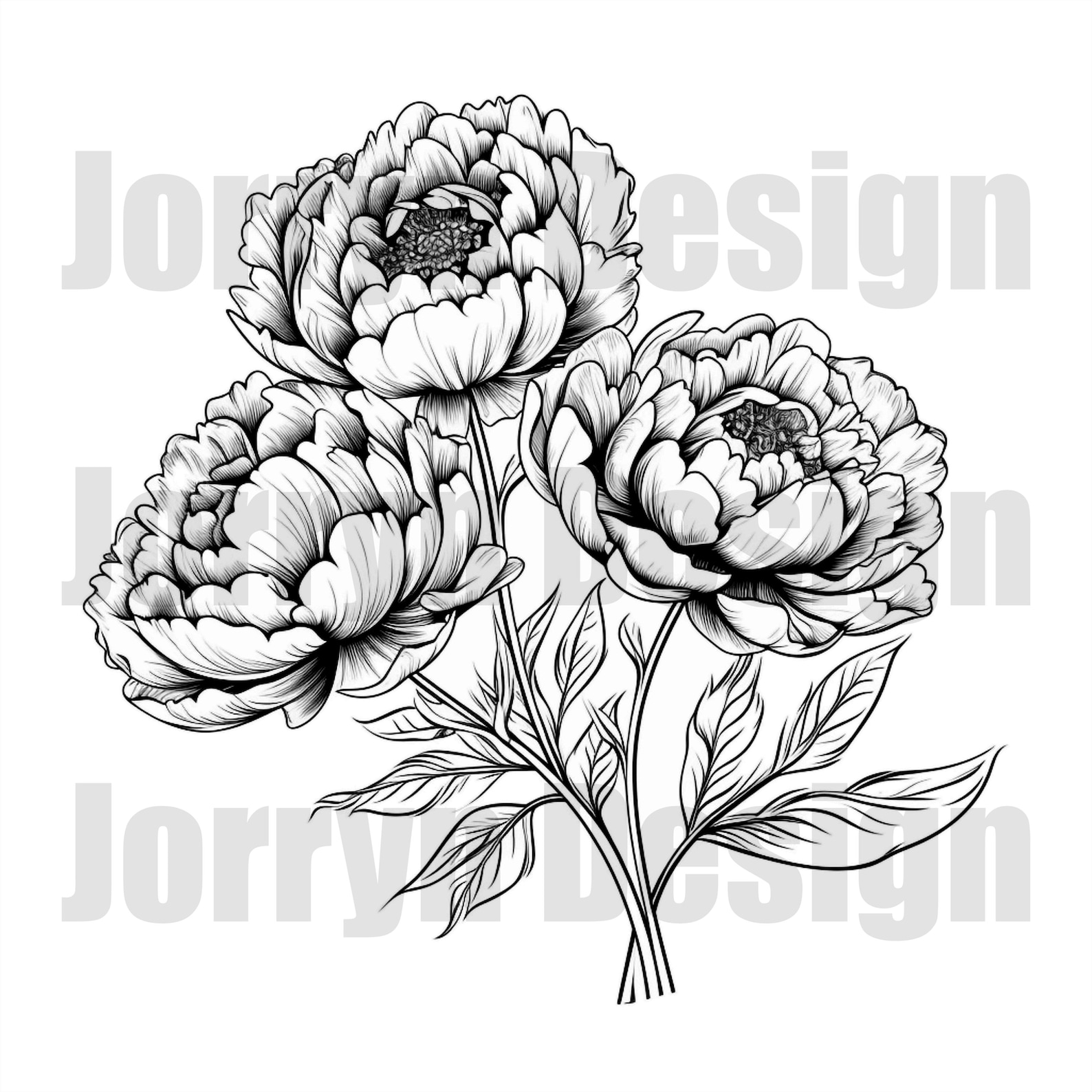 50+ Pfingstrose Clipart | Druckbare Grafik | Hochwertige jpg / jpeg und ...
