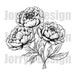 50+ Pfingstrose Clipart | Druckbare Grafik | Hochwertige jpg / jpeg und ...