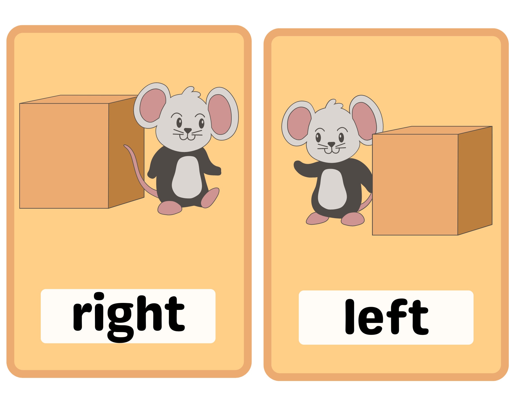 Preposition Flash Cards and Charts 16 Flash Cards 2 Big Preposition ...