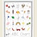 Alphabet Letter Cards: A to Z Educational Flashcards With Six Starting ...