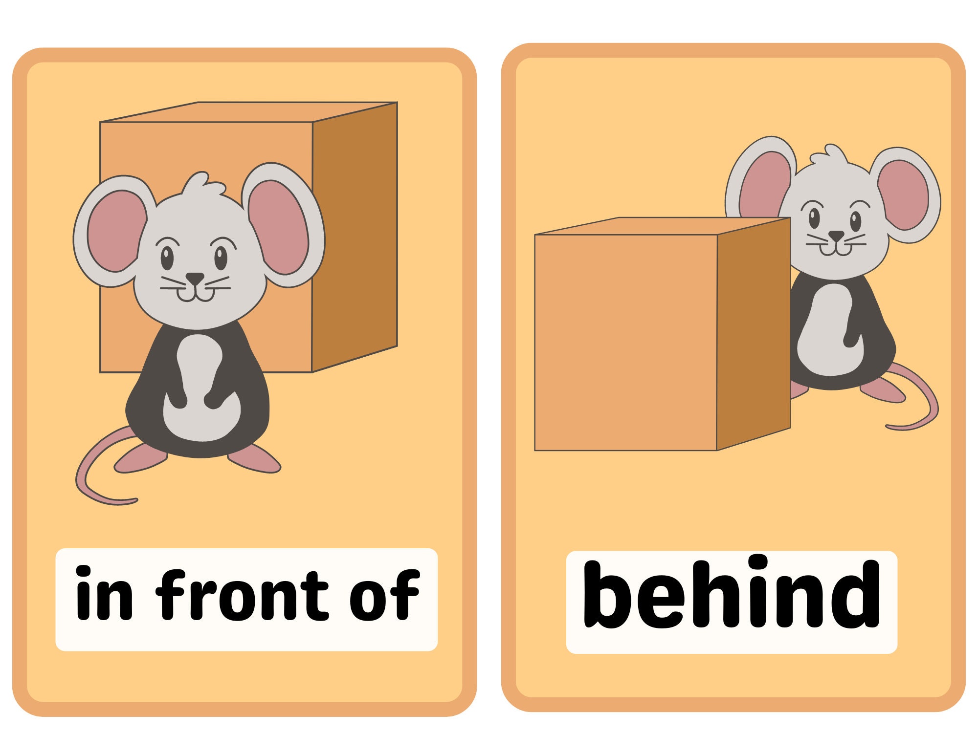 Preposition Flash Cards and Charts 16 Flash Cards 2 Big Preposition ...