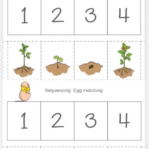 Daily Life Story Sequencing Activities for Kids - 15 Educational ...