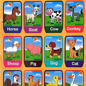 Printable Educational Posters for Kids - Set of 11 Posters in English ...