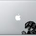 Peeking Dachshund Snag Sausage Dog Decal - Car Window Laptop Vinyl ...