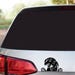Peeking Dachshund Snag Sausage Dog Decal - Car Window Laptop Vinyl ...