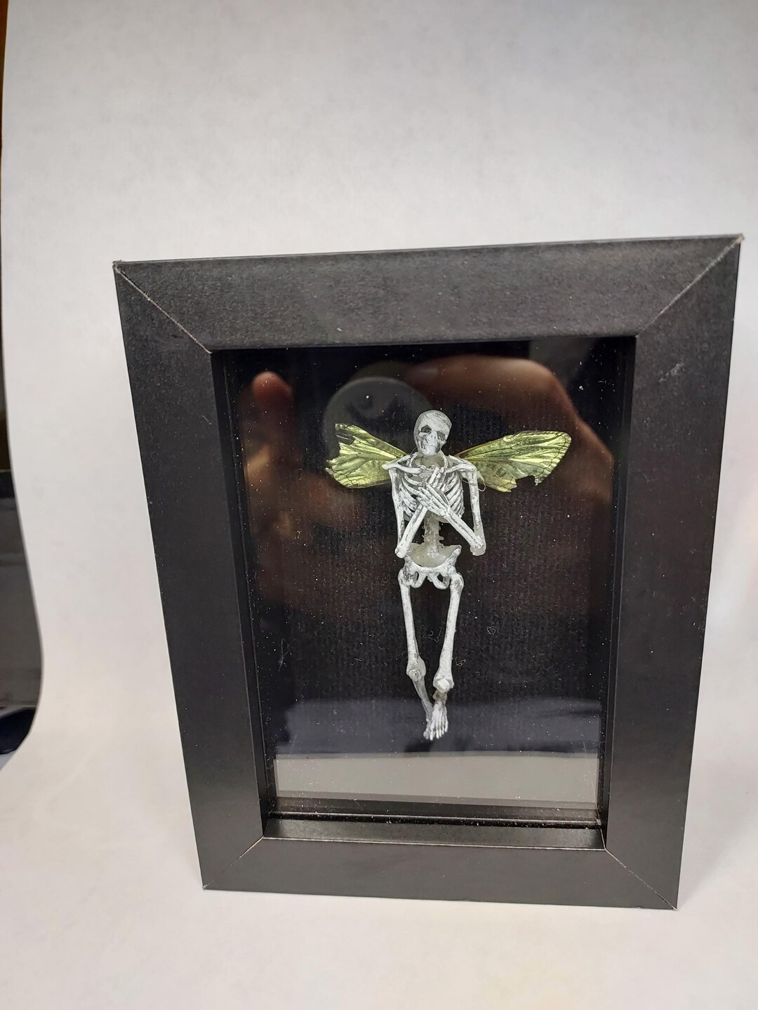 Dessicated Pixie Specimen in a Shadowbox Frame - Etsy