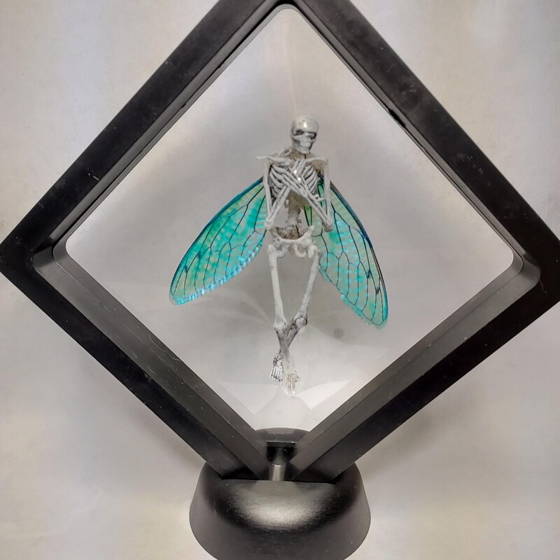 Mummified Fairy - Etsy