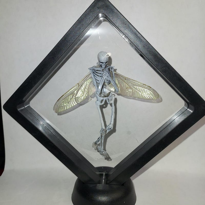 Skeleton Fairies - Etsy