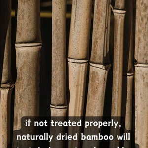 Bamboo Poles 8 Pk 1.5" Diam. Craft Bamboo Sticks Indoor Outdoor Bamboo ...