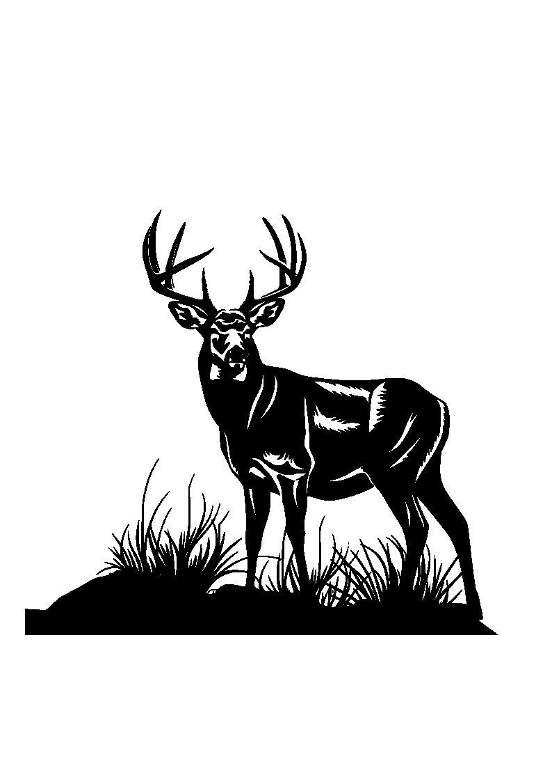 Mule Deer SVG - Etsy