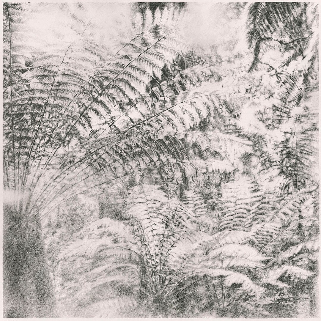 Tree Fern Grove With Streaming Light - Realism Graphite Drawing Digital ...