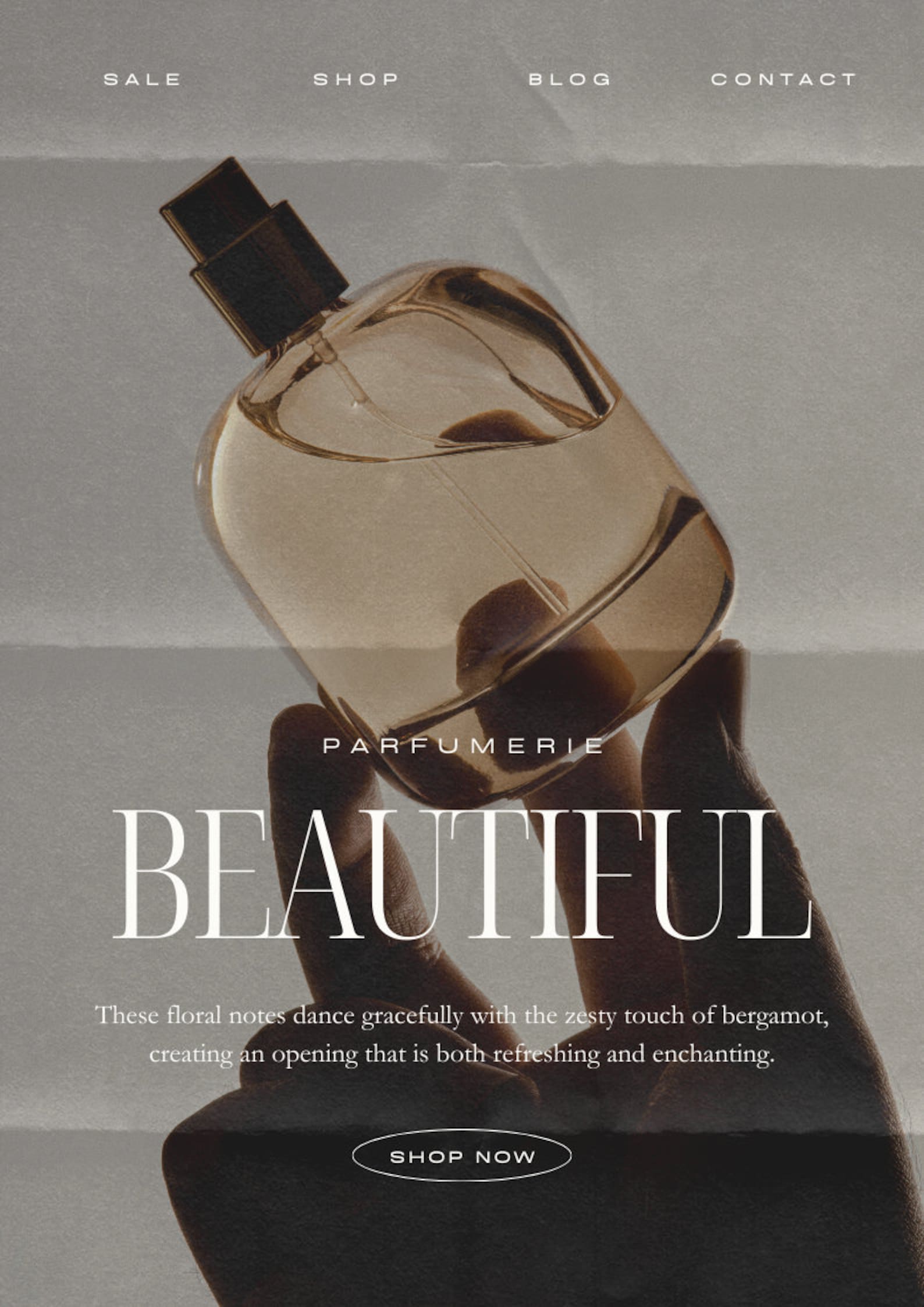 Perfume Branding Template: Social Media & Email (canva DIY Template) - Etsy