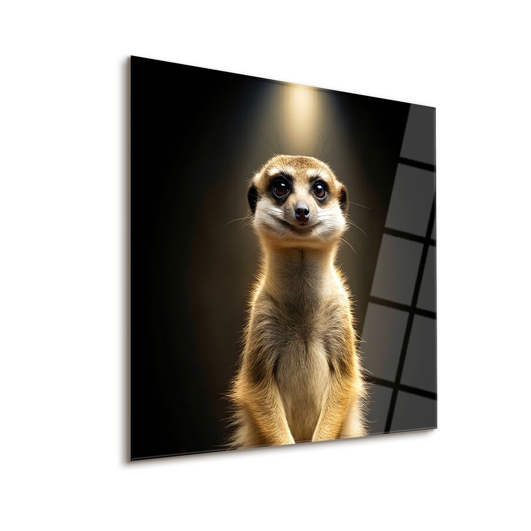 Meerkat - Tempered Glass Wall Art, Animal Wall Decor, Wall Hangings ...