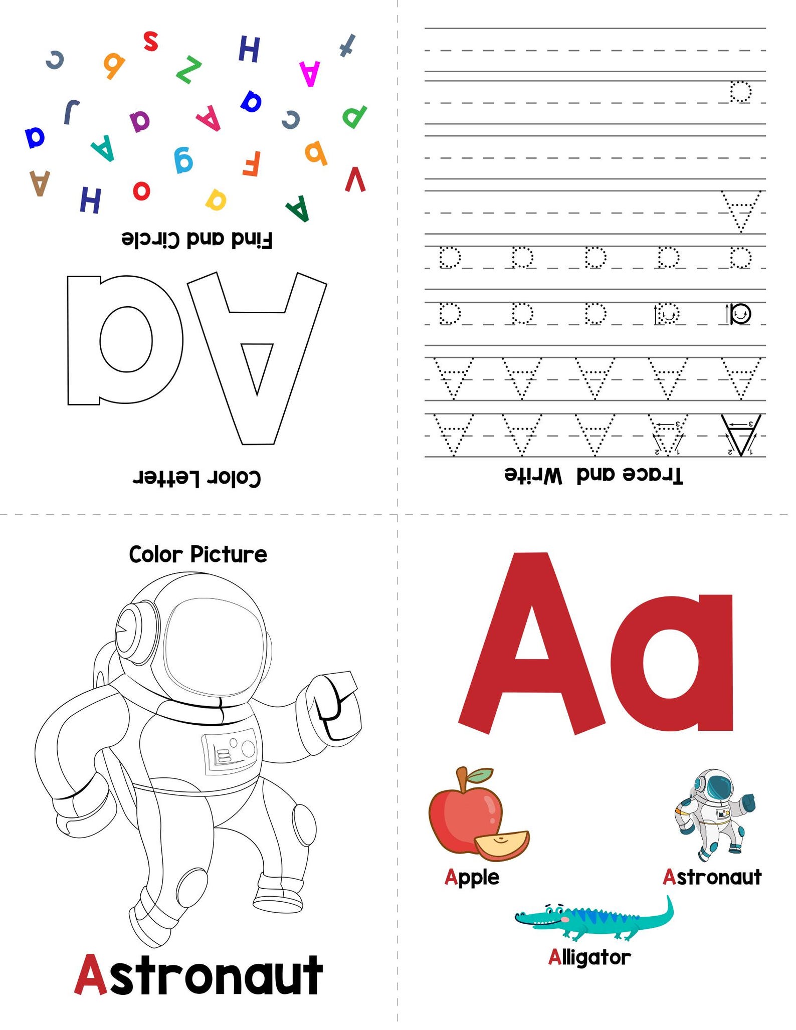 Alphabet Mini Book Bundle for Preschool & Kindergarten | Printable ABC ...