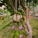 Crochet House Plants,handmade Crochet Plants,diy Plant,easy Crochet ...