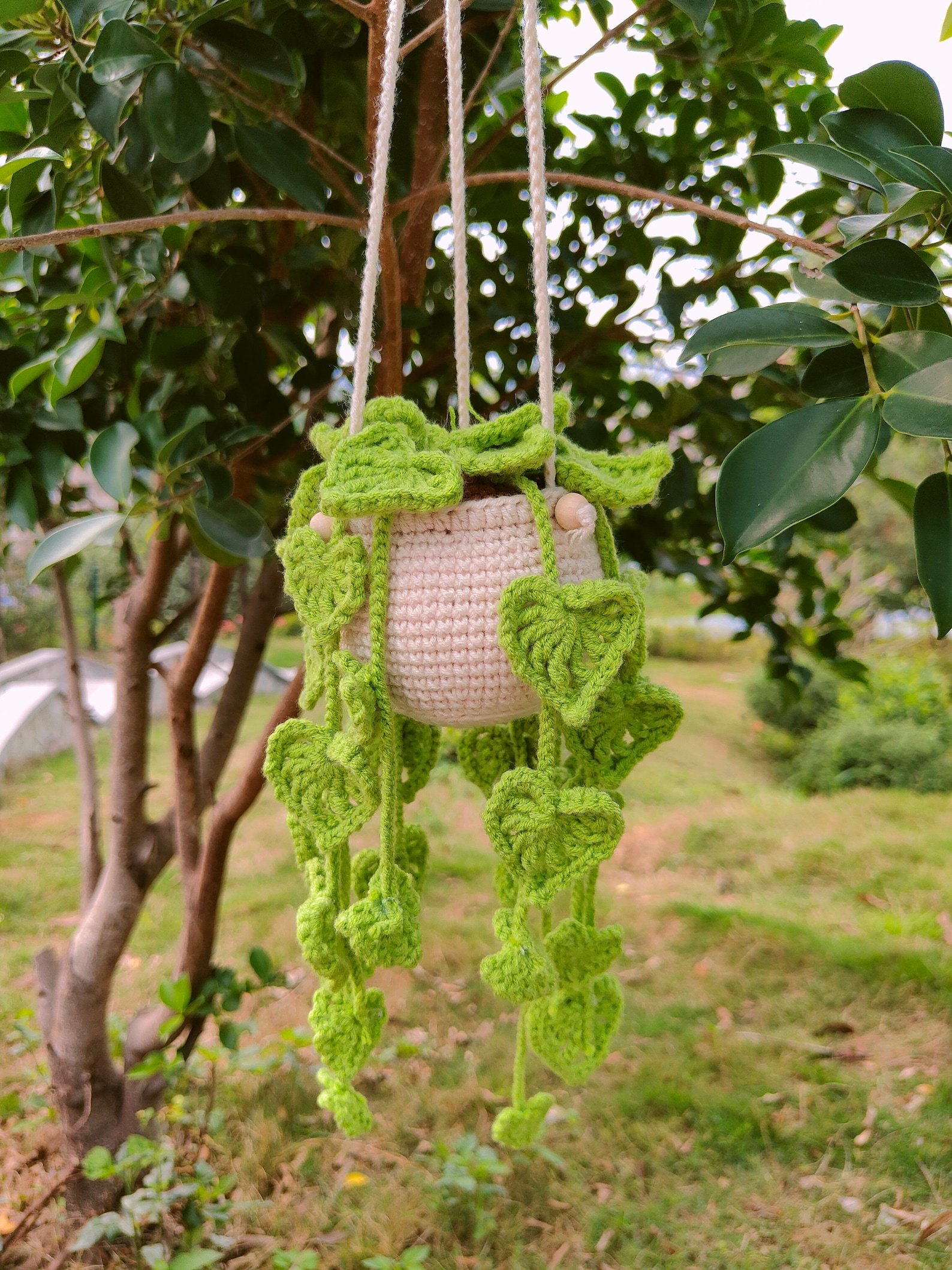 Hanging Plant Pattern，hanging Basket Crochet，pothos Plant Crochet ...