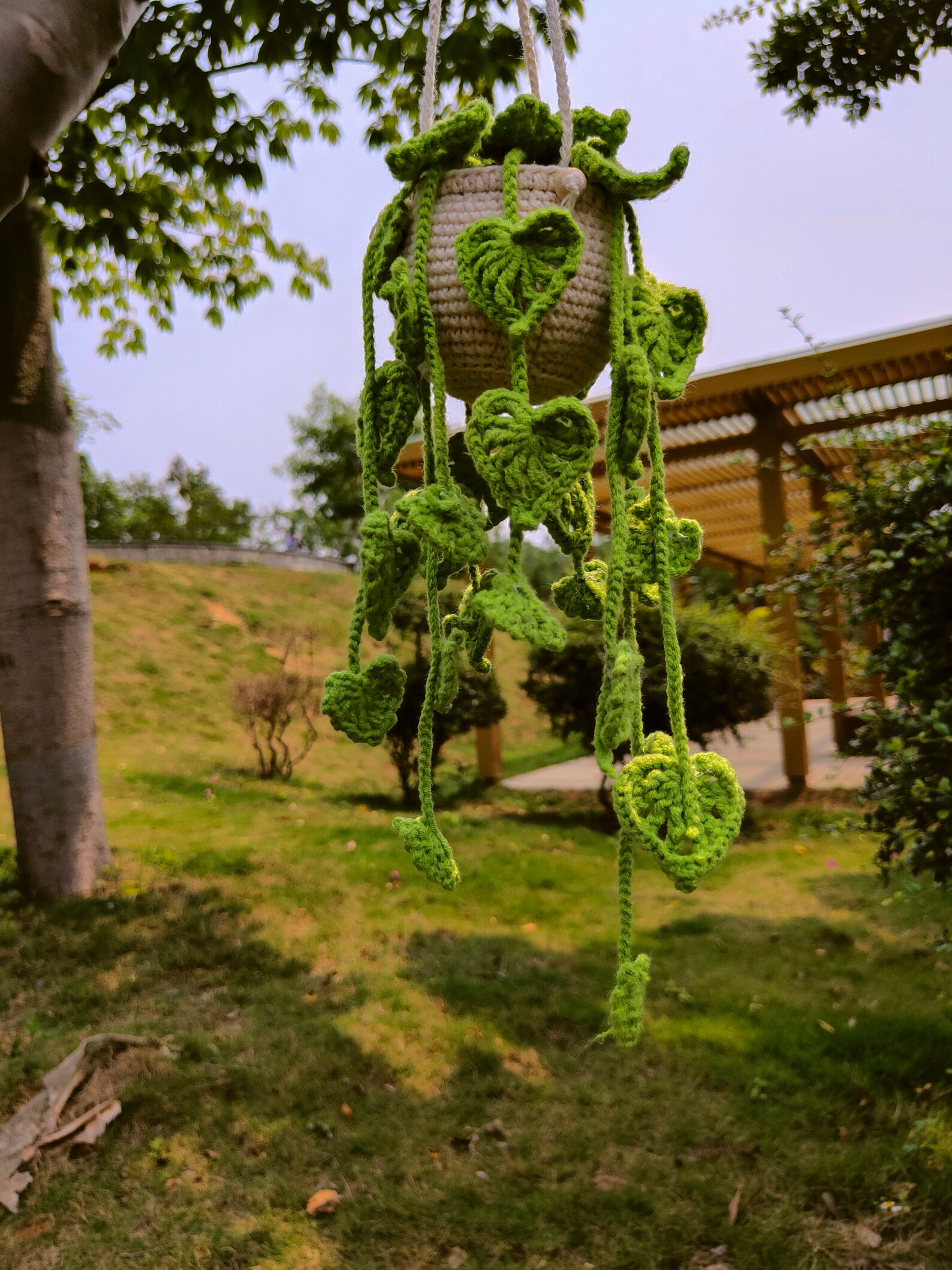 Hanging Plant Pattern，hanging Basket Crochet，pothos Plant Crochet ...