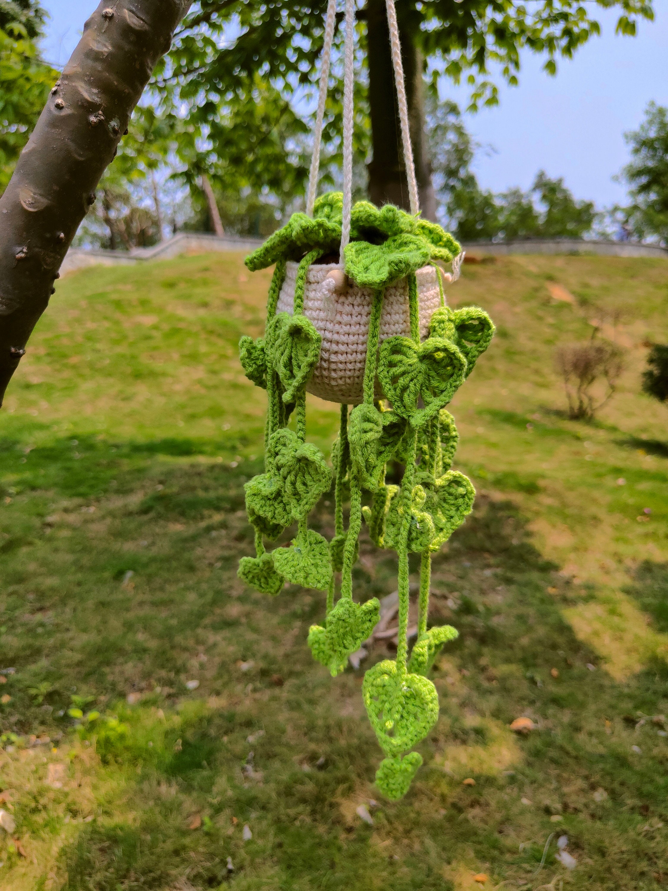 Hanging Plant Pattern，hanging Basket Crochet，pothos Plant Crochet ...