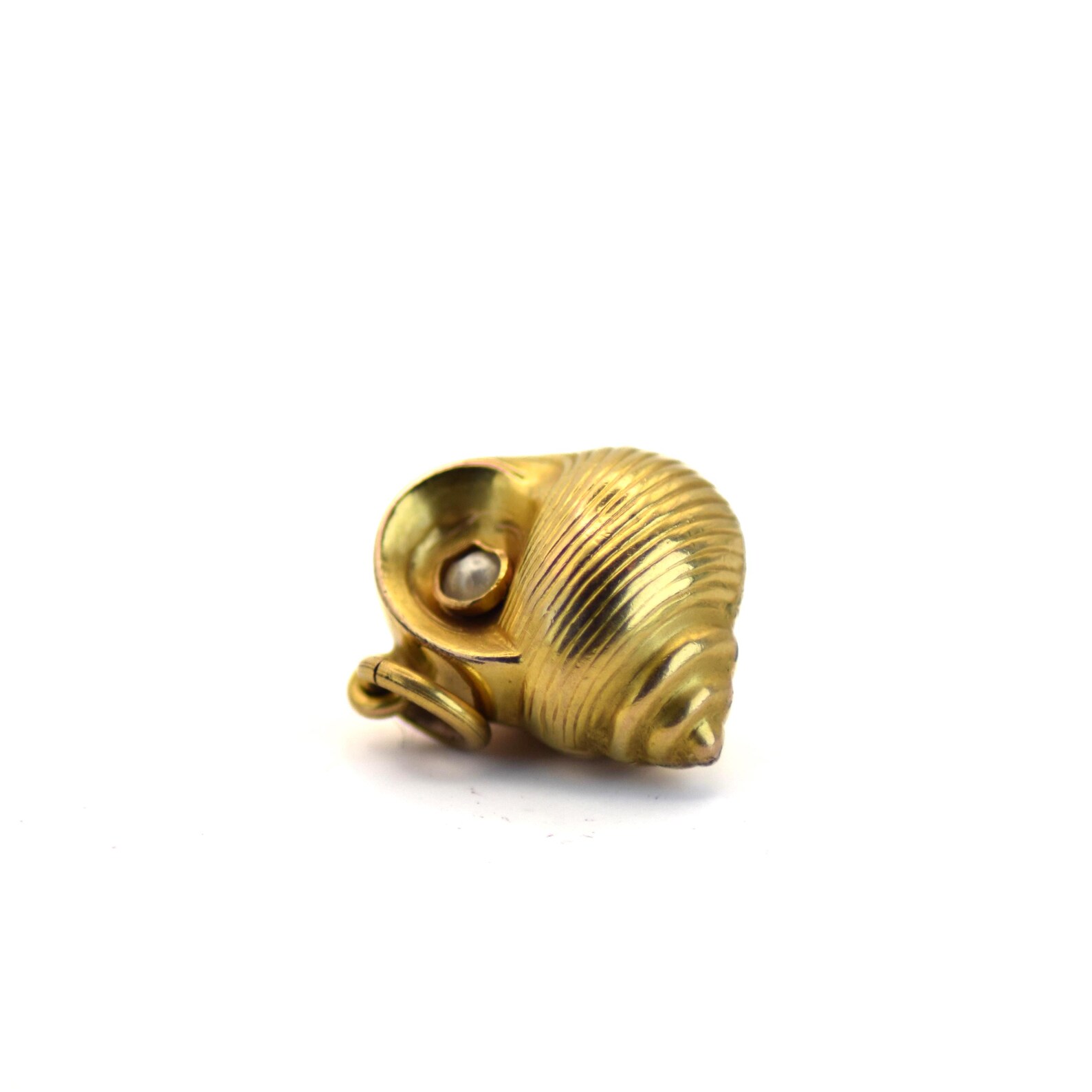 9k Gold Shell Charm - Etsy