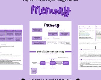 Complete A Level Psychology Notes Bundle for Year 1 (AQA ...