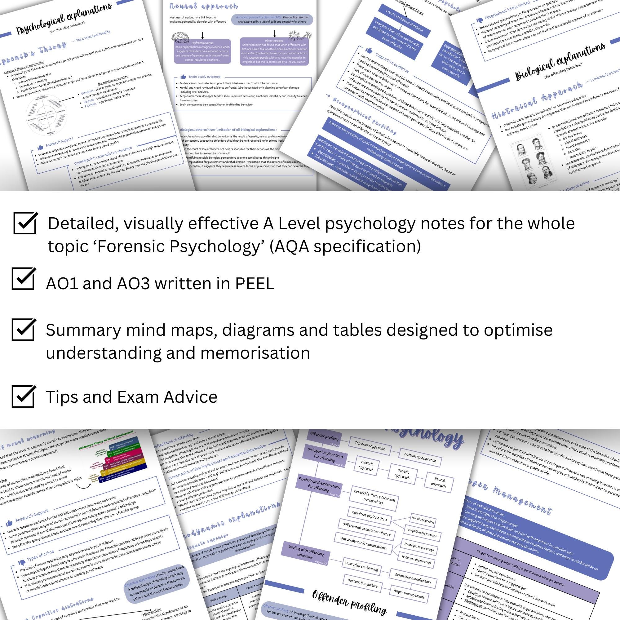 A Level Psychology A* Notes (AQA) - Forensic Psychology | Downloadable ...